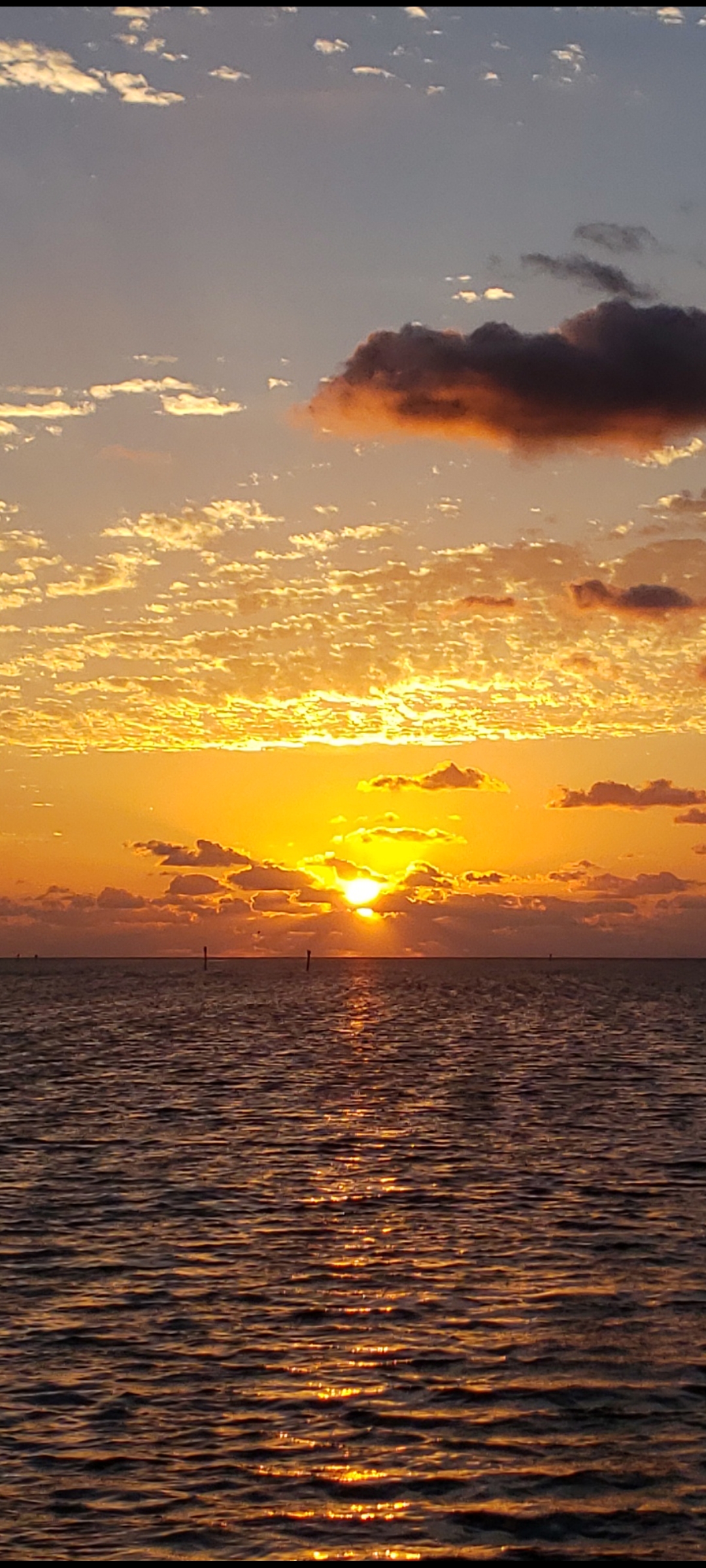 I received an early a.m. text from A.D.M. asking, “where’s the photo of ...